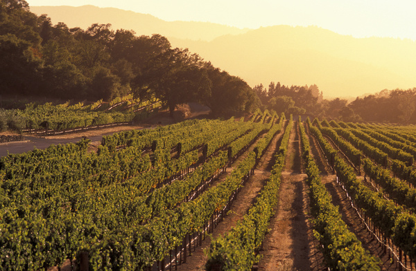 California for Foodies - Golden State Cuisine | CA Media Topics | Visit ...